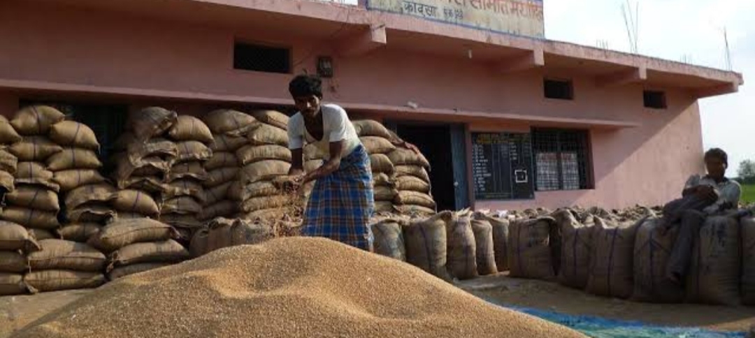 FCI sets all time record in single day transportation of food grains ...